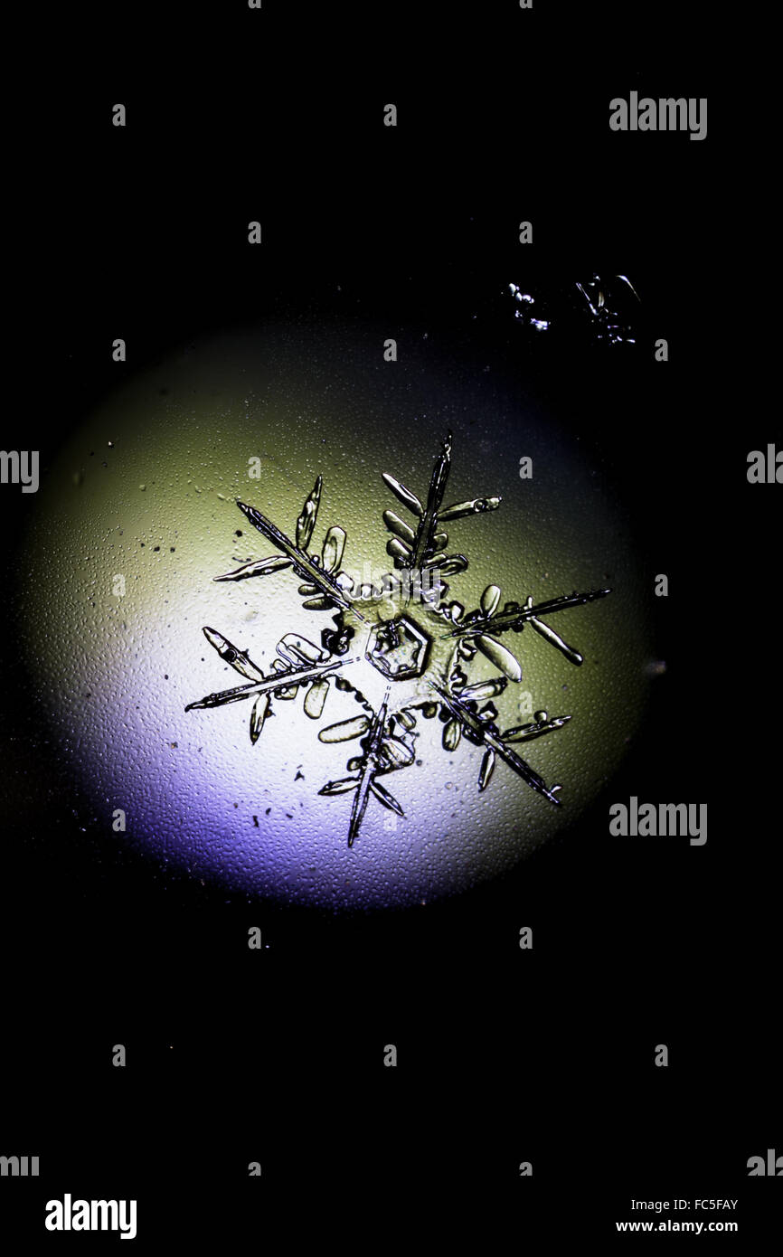 Melting snowflakes in a beam of light Stock Photo - Alamy