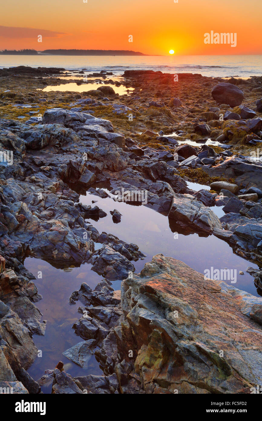 Sunrise, Seawall, Acadia National Park, Maine, USA Stock Photo - Alamy