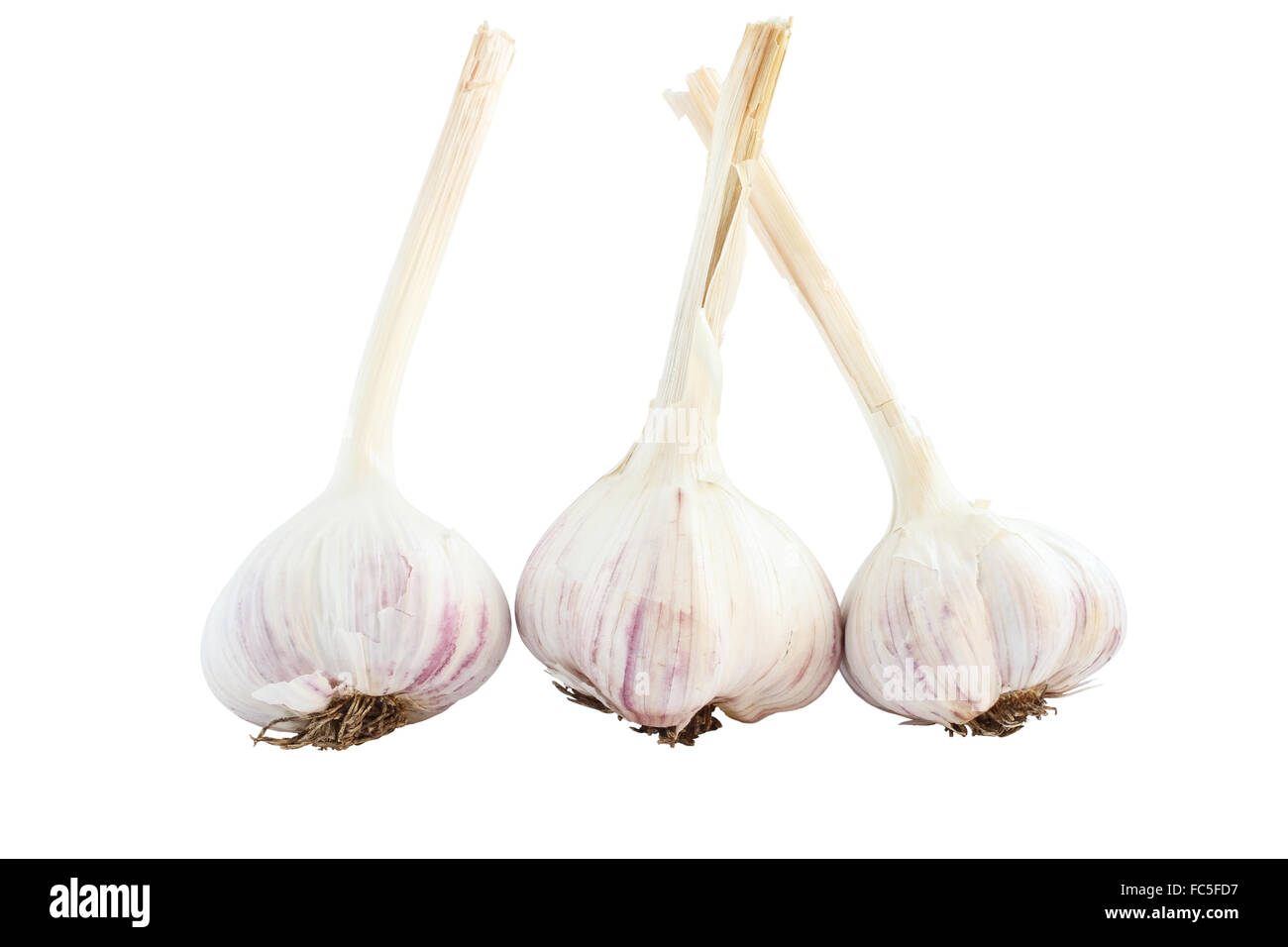 Three big garlic heads isolated on white background Stock Photo - Alamy