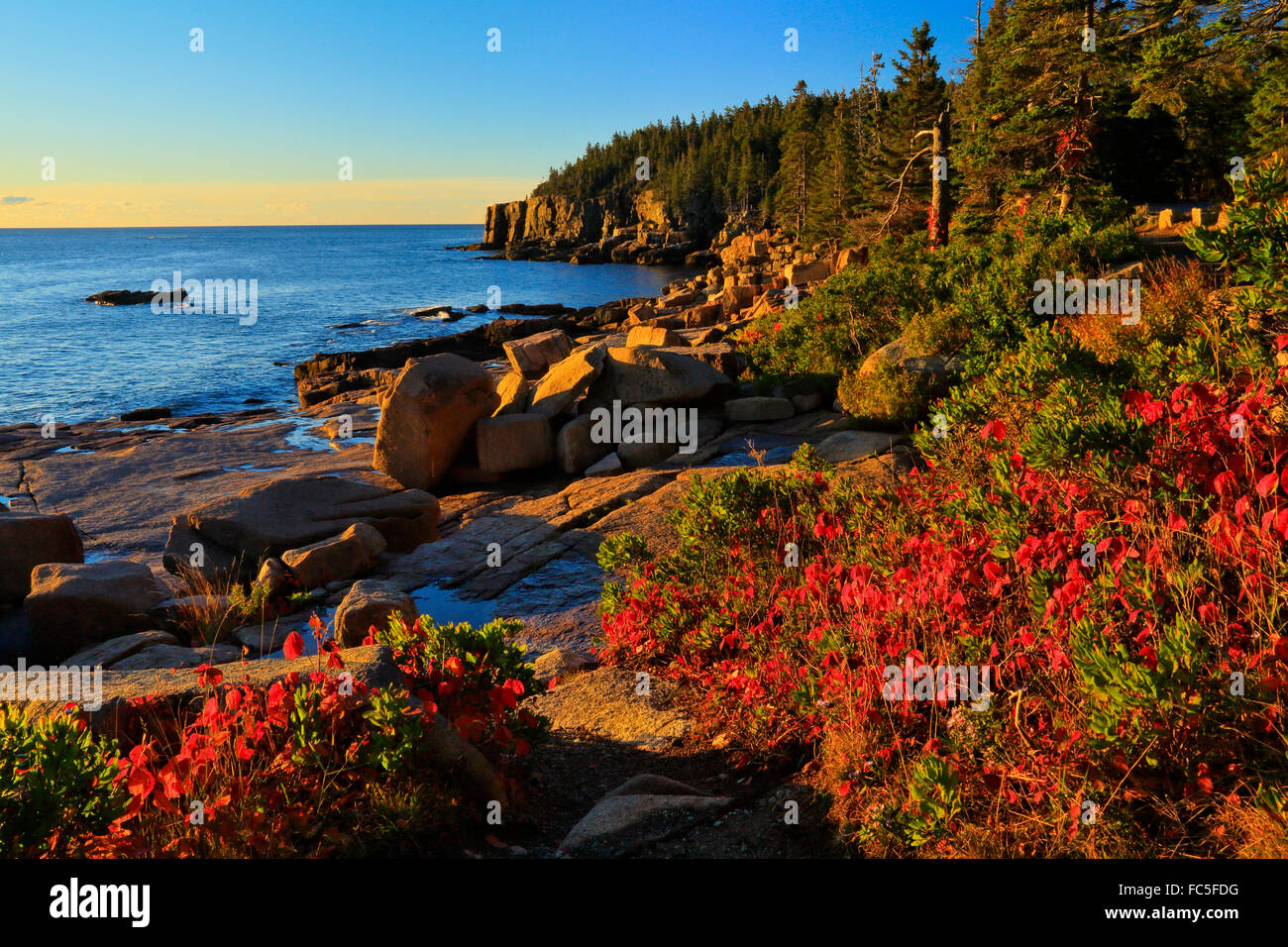 Otter Cliff at Sunrise, The Ocean Trail, Acadia National Park, Maine ...