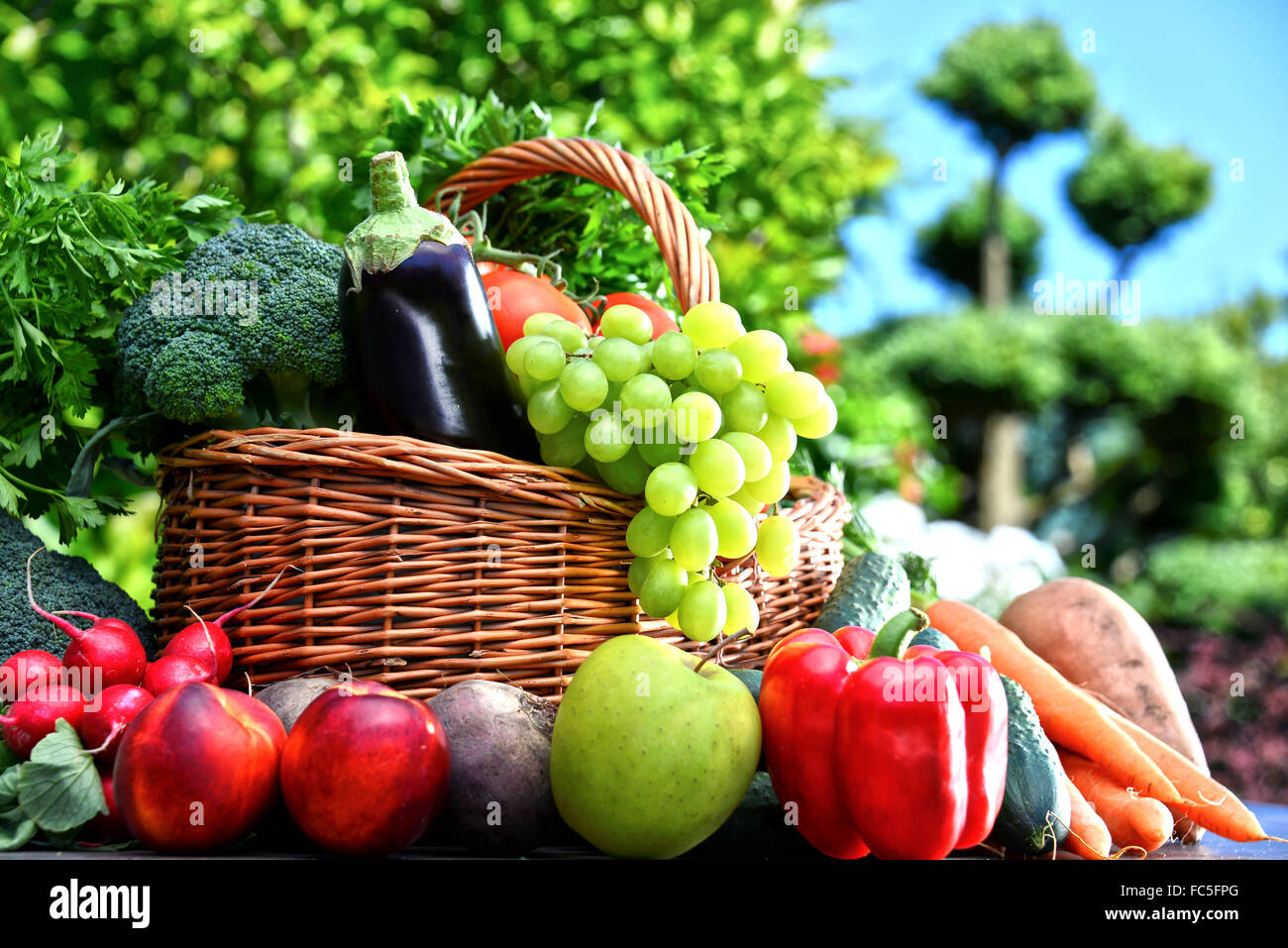 Variety of fresh organic vegetables and fruits in the garden. Balanced ...