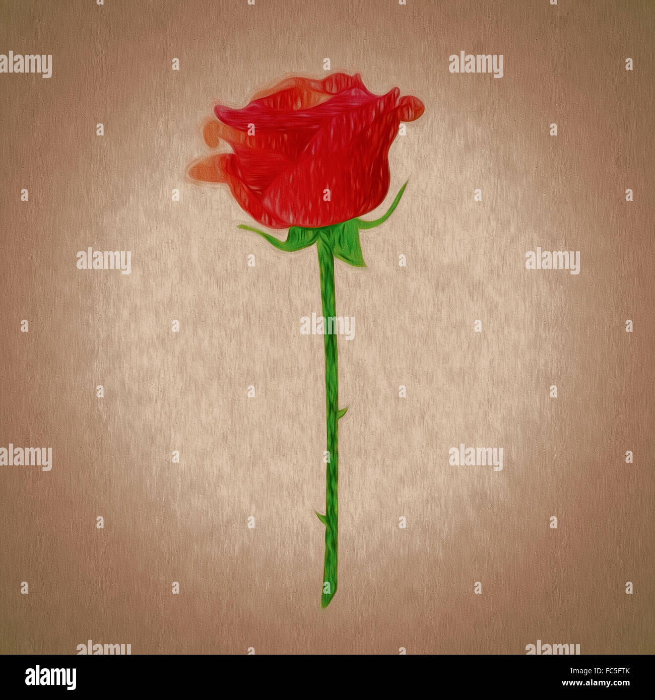 Red rose digital illustration, created manually using various digital ...