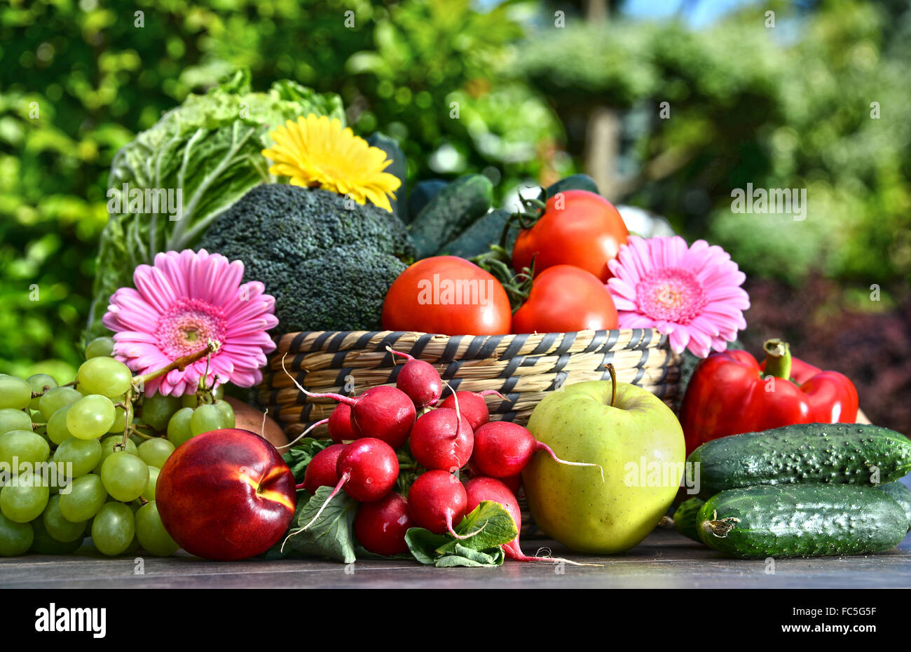 Variety of fresh organic vegetables and fruits in the garden. Balanced ...