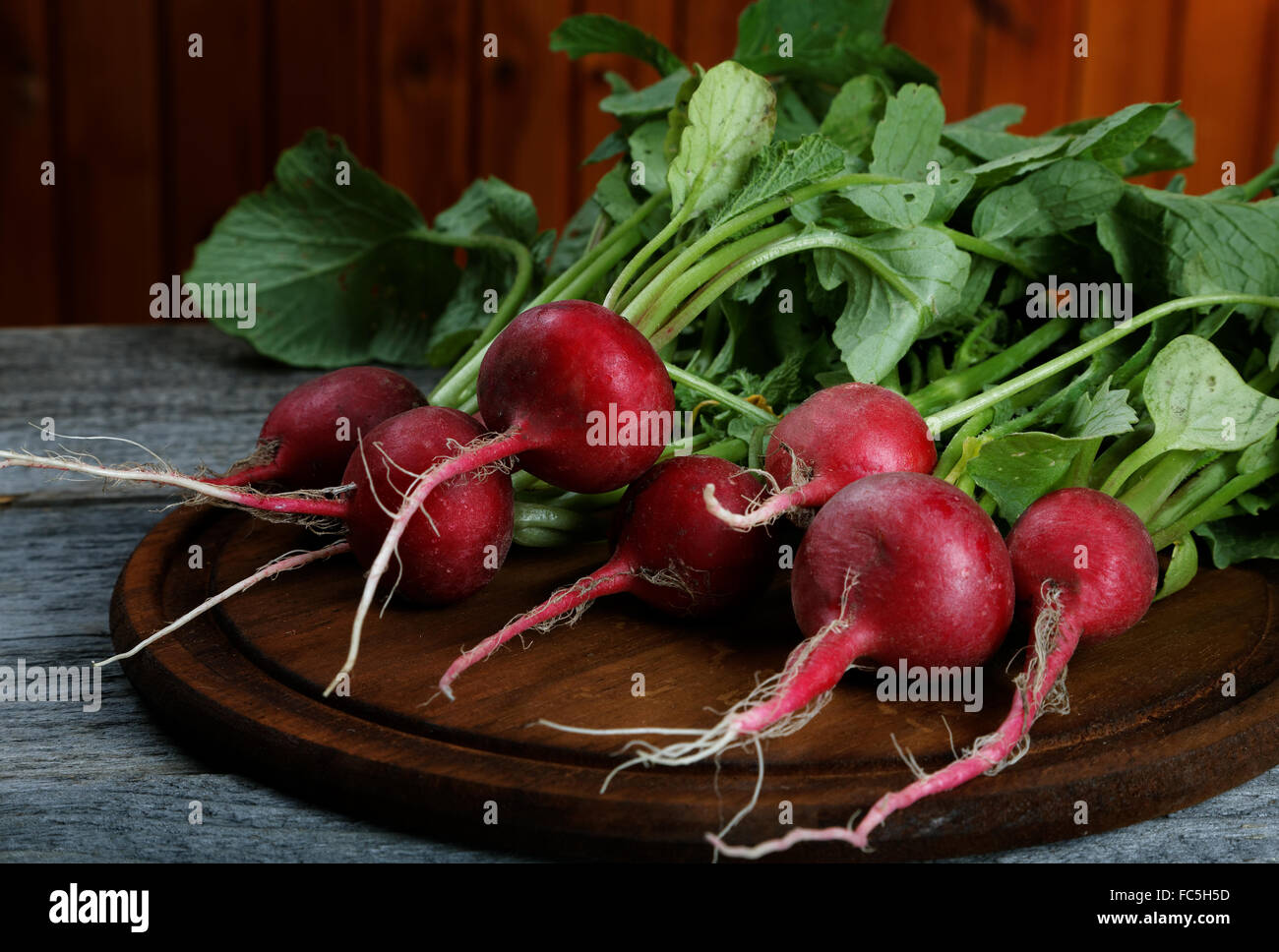 Bundle organic radishes on hi-res stock photography and images - Alamy