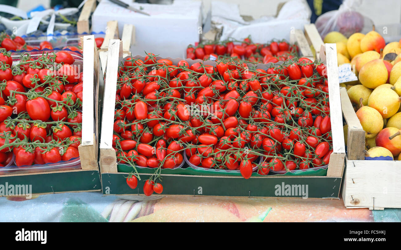 Tomato farmers italy hi-res stock photography and images - Alamy