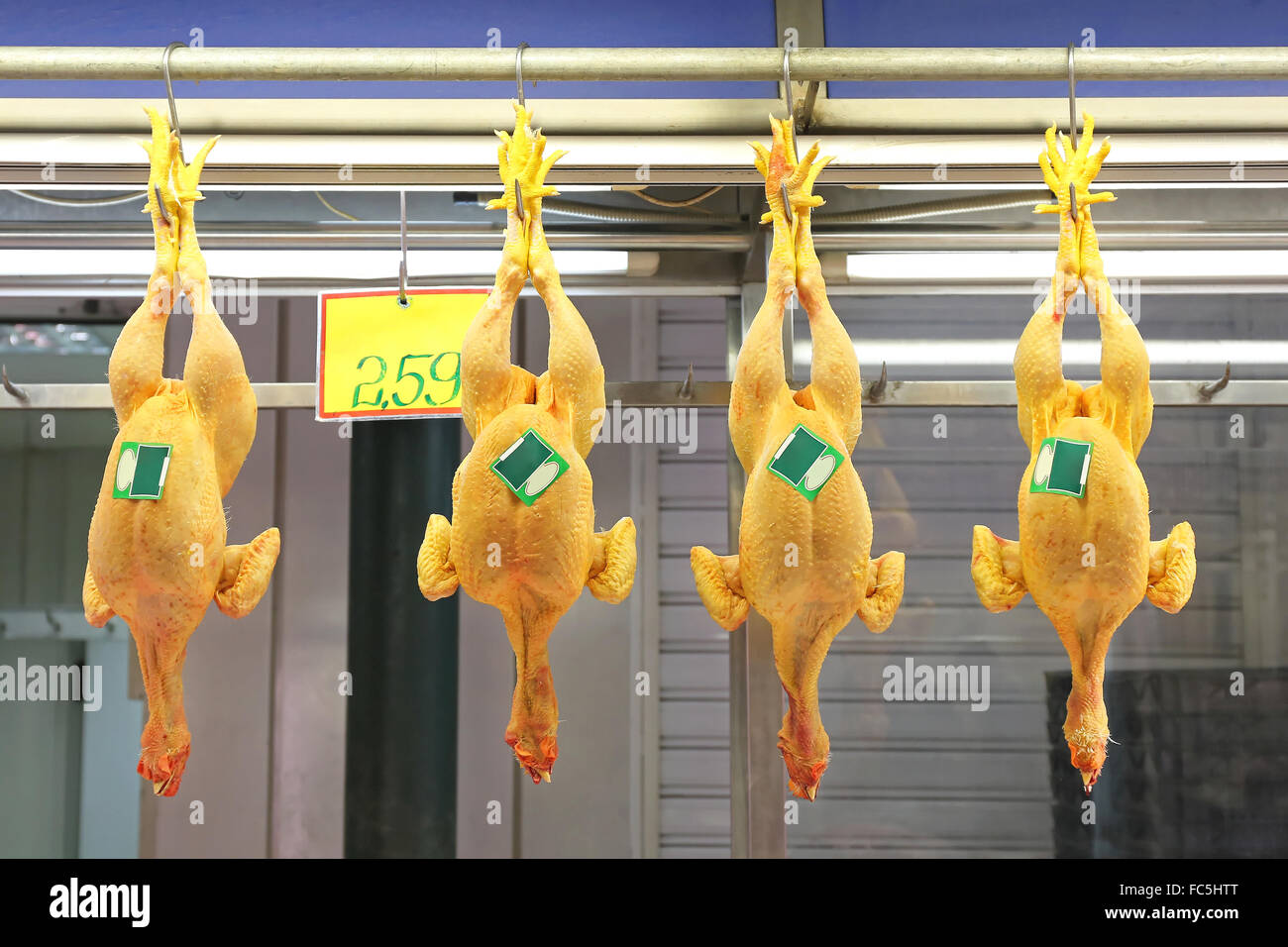 Dead rooster hi-res stock photography and images - Alamy