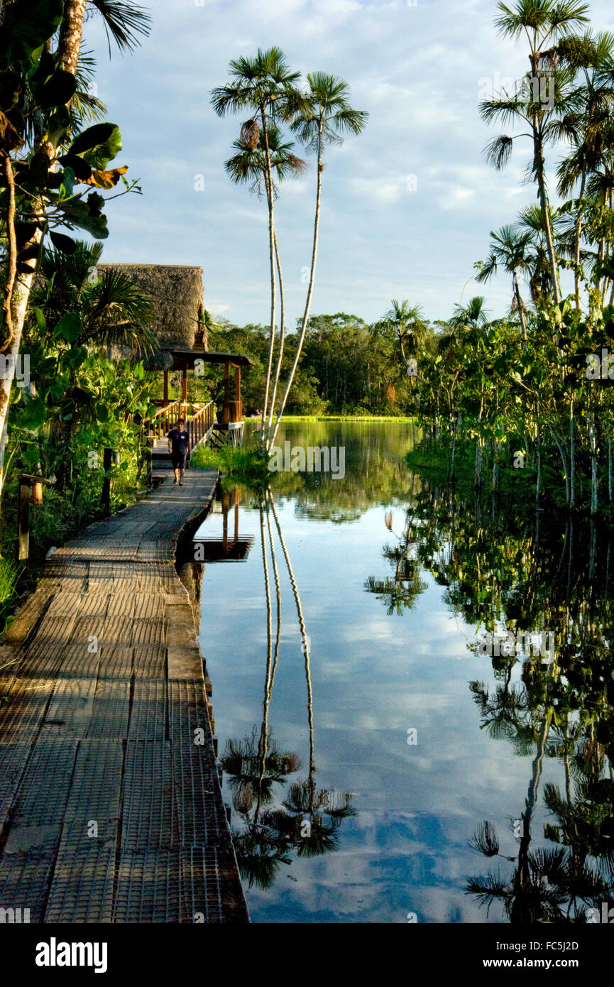 Lodge on the Amazon River in Ecuador Stock Photo - Alamy