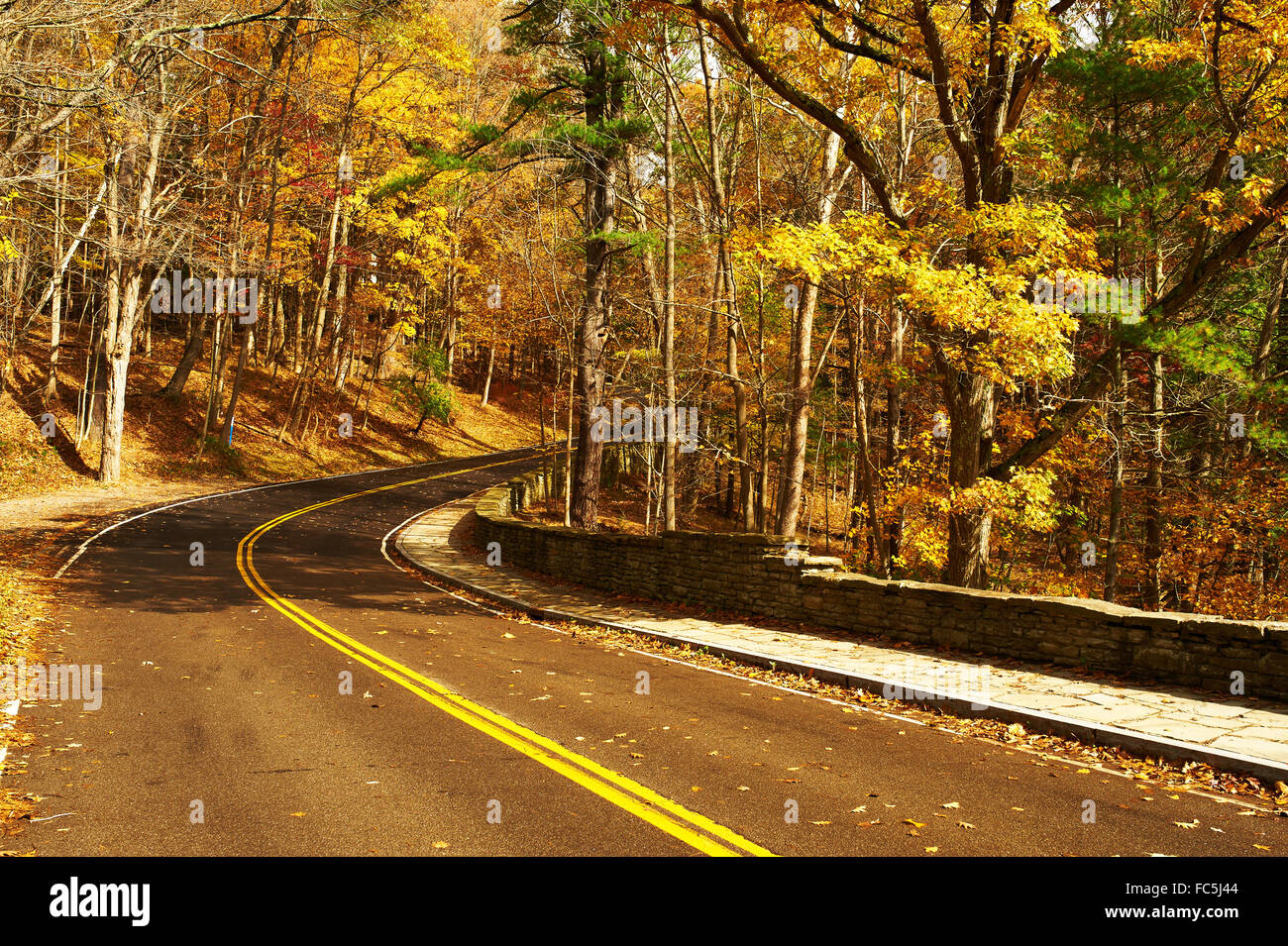 Autumn scene with road in forest Stock Photo - Alamy