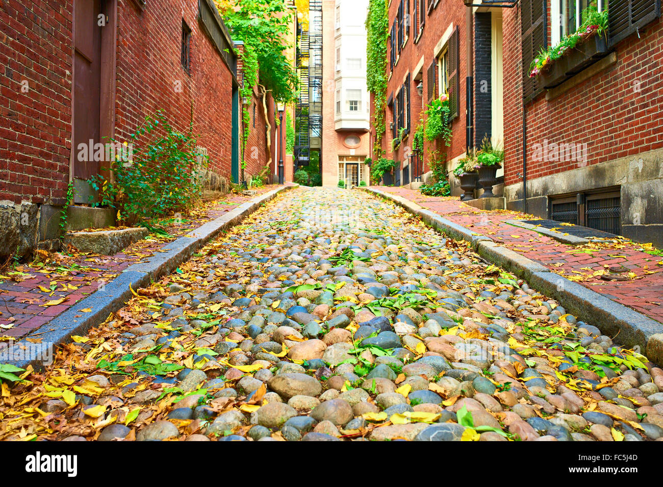 Fall boston neighborhood hi-res stock photography and images - Alamy