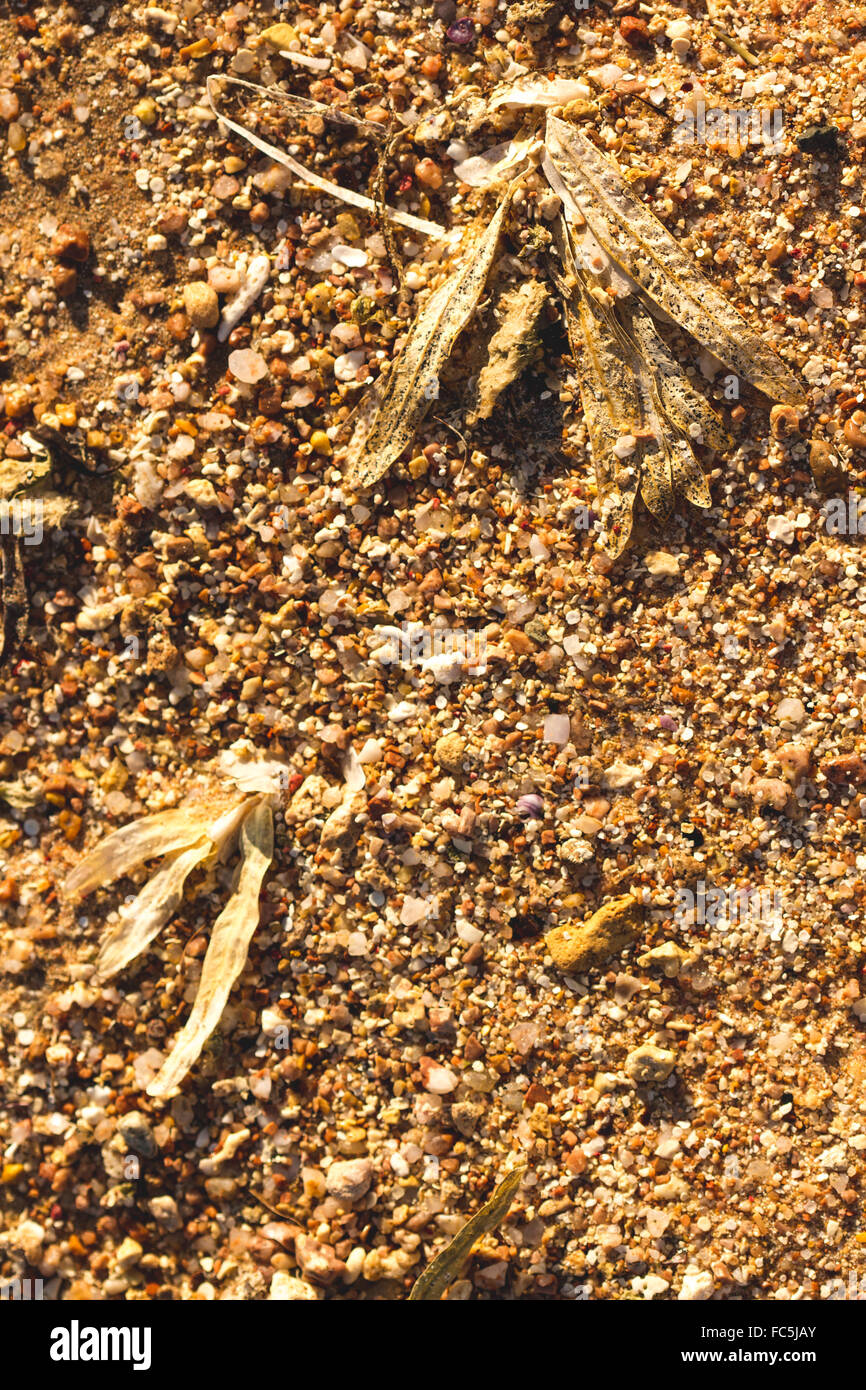 Desert sand pattern texture Stock Photo - Alamy