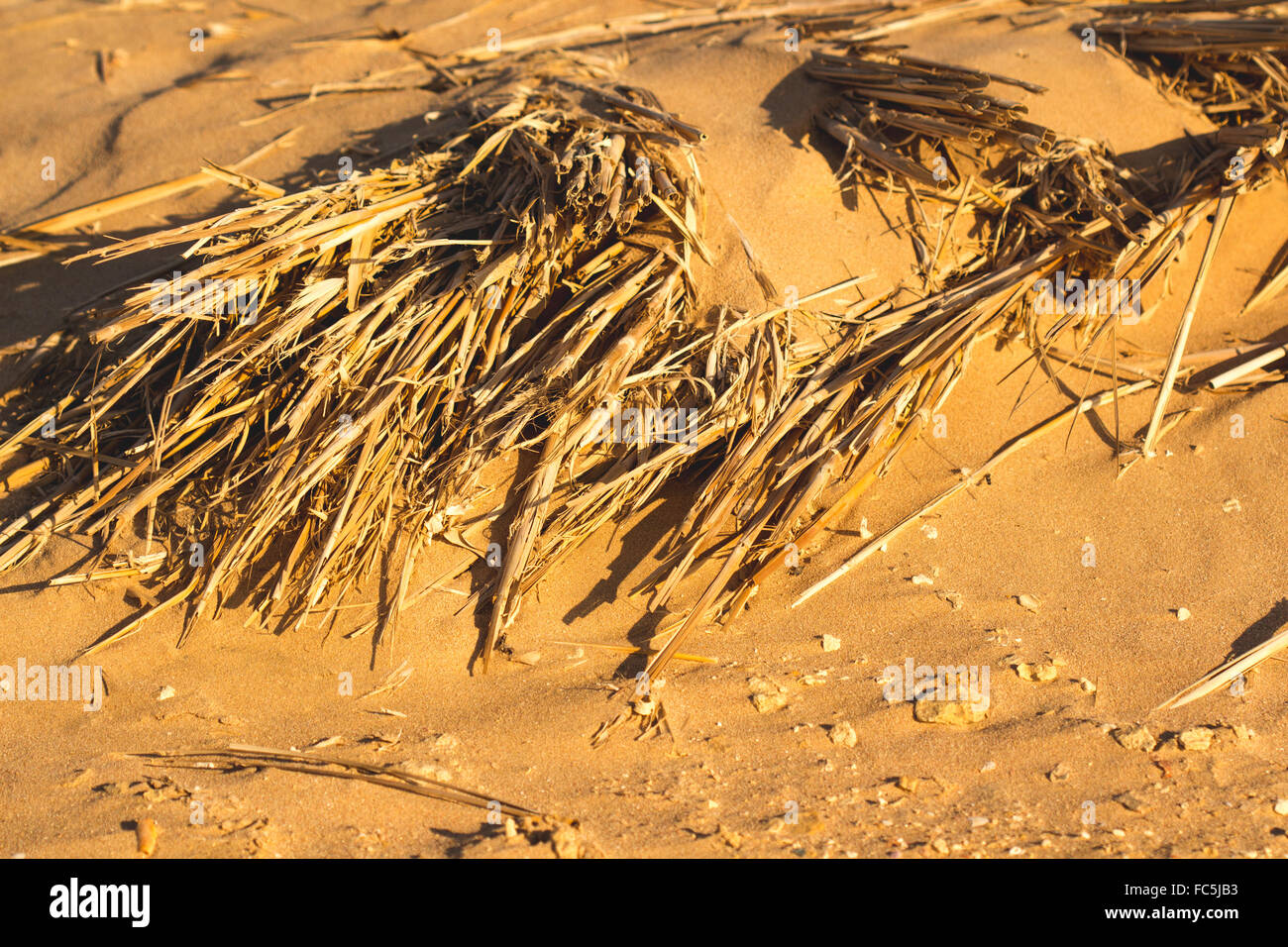 Vast desert sand hi-res stock photography and images - Alamy