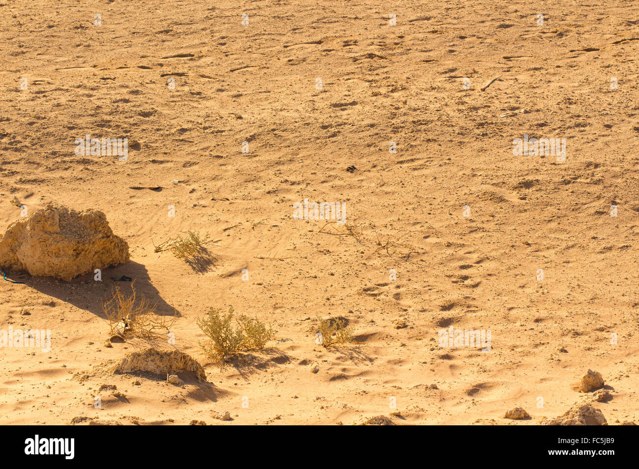 Vast desert wilderness hi-res stock photography and images - Alamy