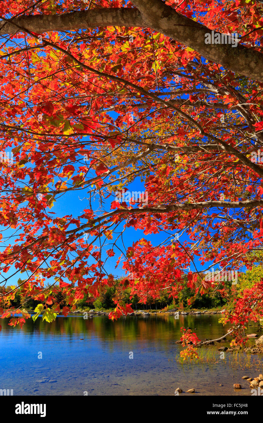 Tunk Lake, Maine Public Reserve Land, Cherryfield, Maine, USA Stock ...