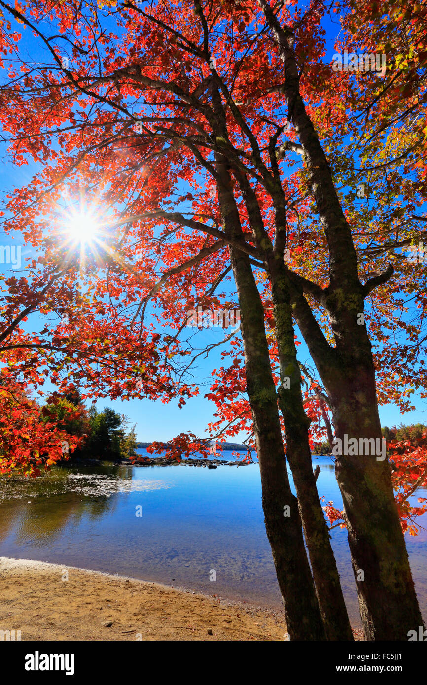 Tunk Lake, Maine Public Reserve Land, Cherryfield, Maine, USA Stock ...