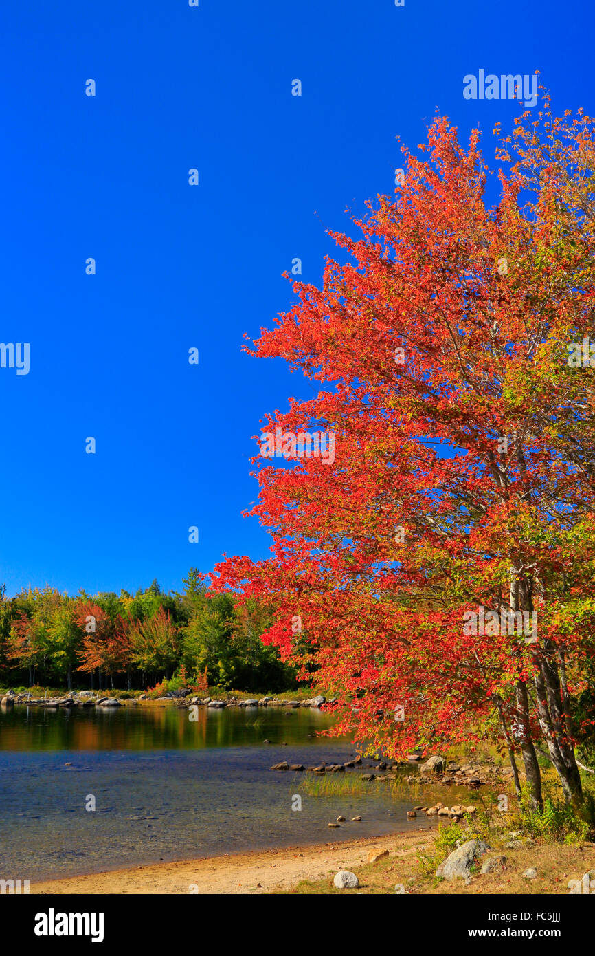 Tunk Lake, Maine Public Reserve Land, Cherryfield, Maine, USA Stock ...