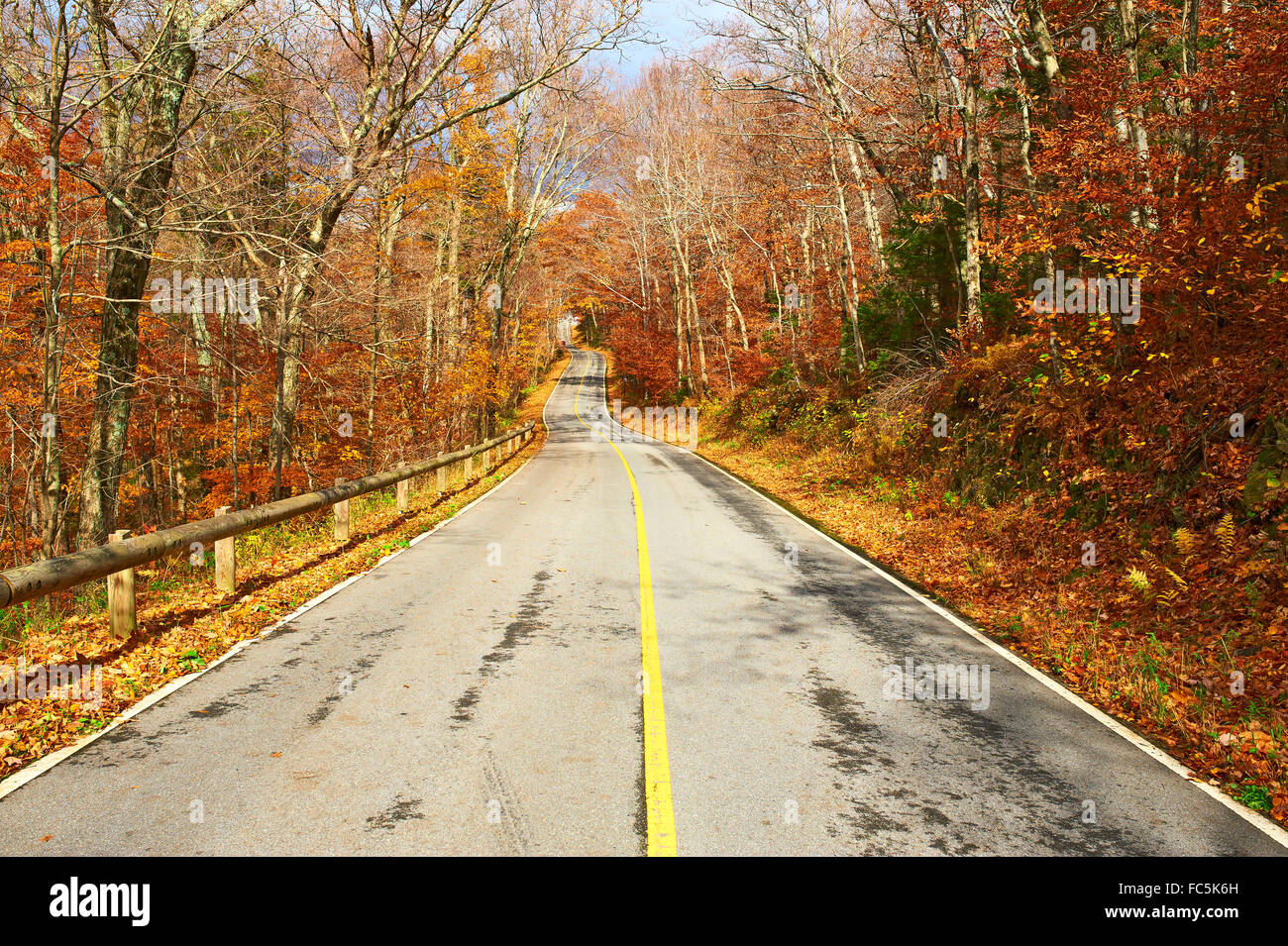 Autumn scene with road Stock Photo - Alamy