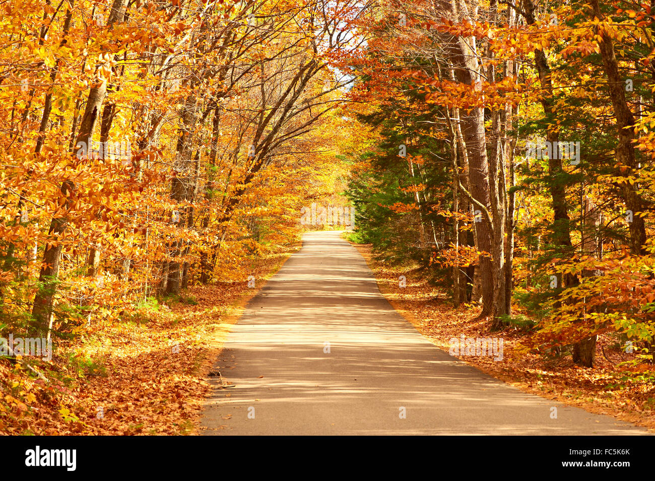 Autumn scene with road Stock Photo - Alamy