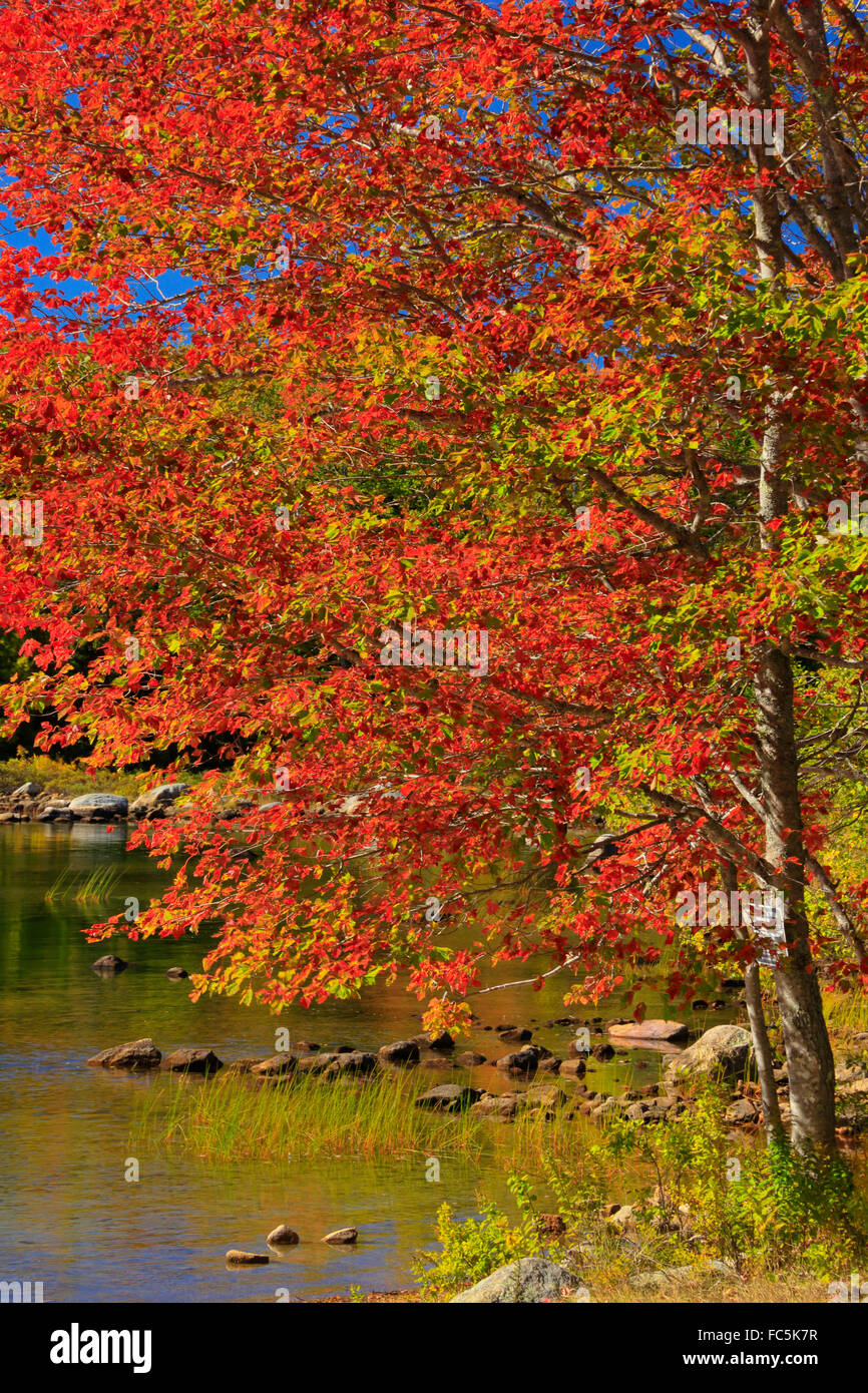 Tunk Lake, Maine Public Reserve Land, Cherryfield, Maine, USA Stock ...