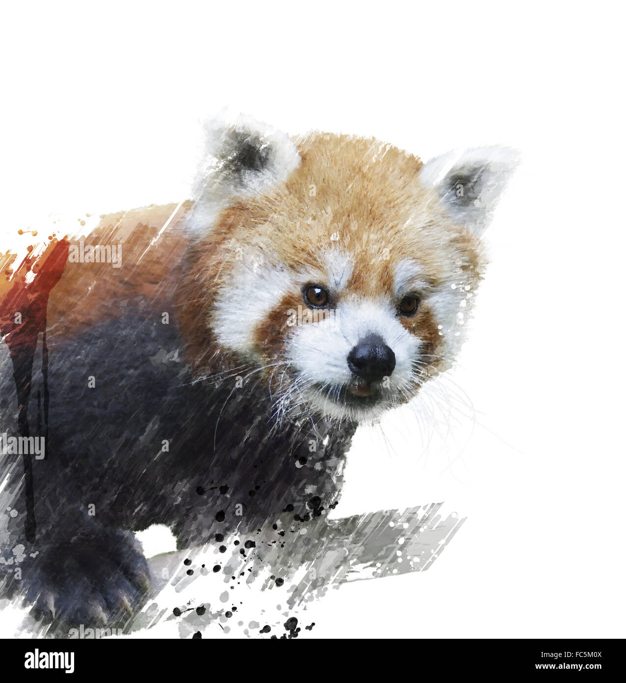 Prints Red Panda Pandas Wildlife Art Prints Set of 4 Instant Download ...