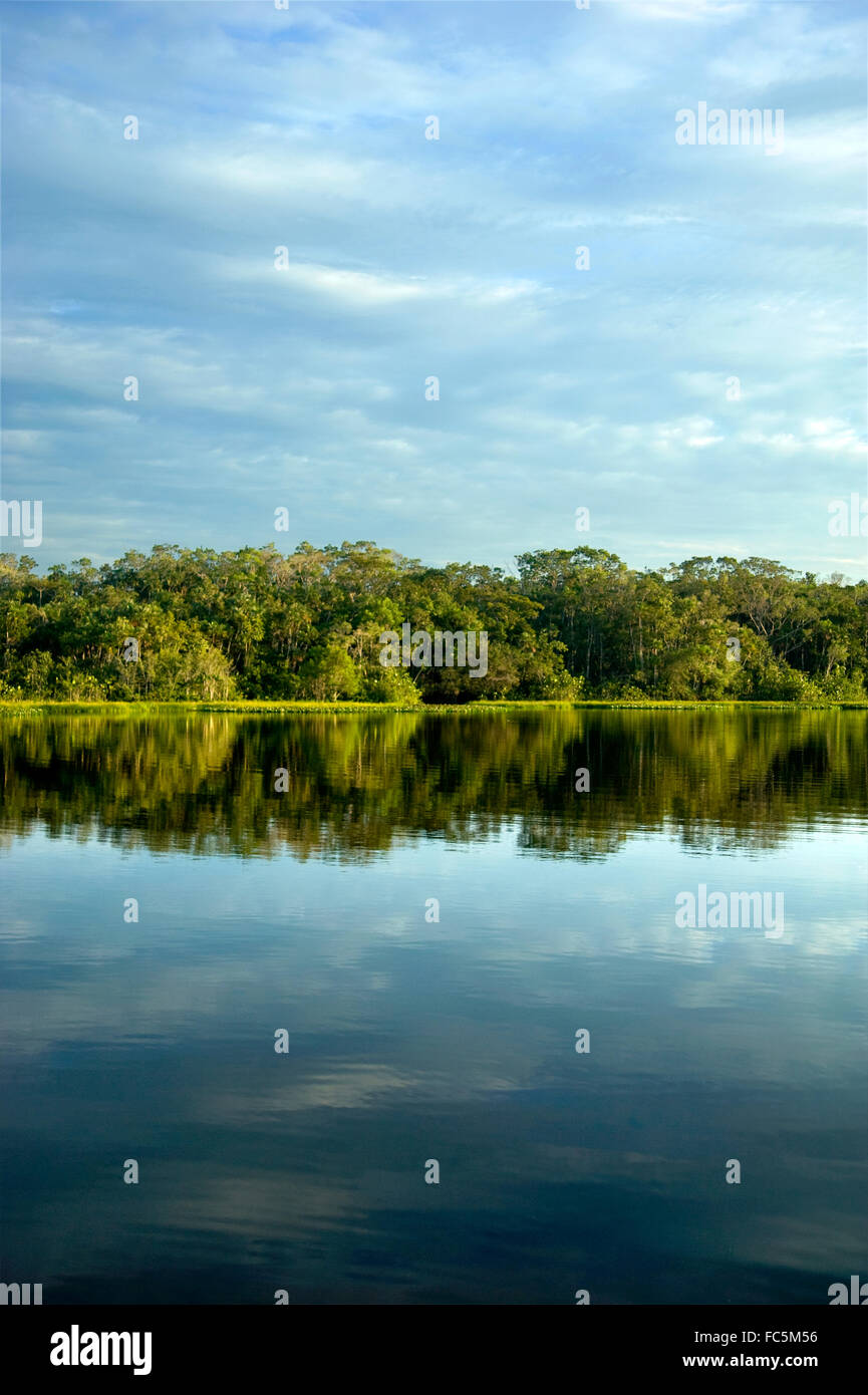 Amazon river landscape hi-res stock photography and images - Alamy