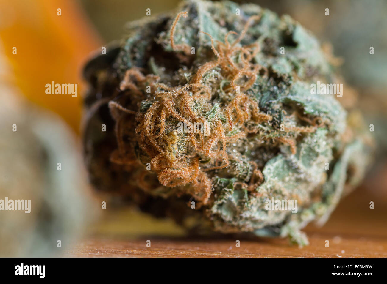 Arizona marihuana hi-res stock photography and images - Alamy