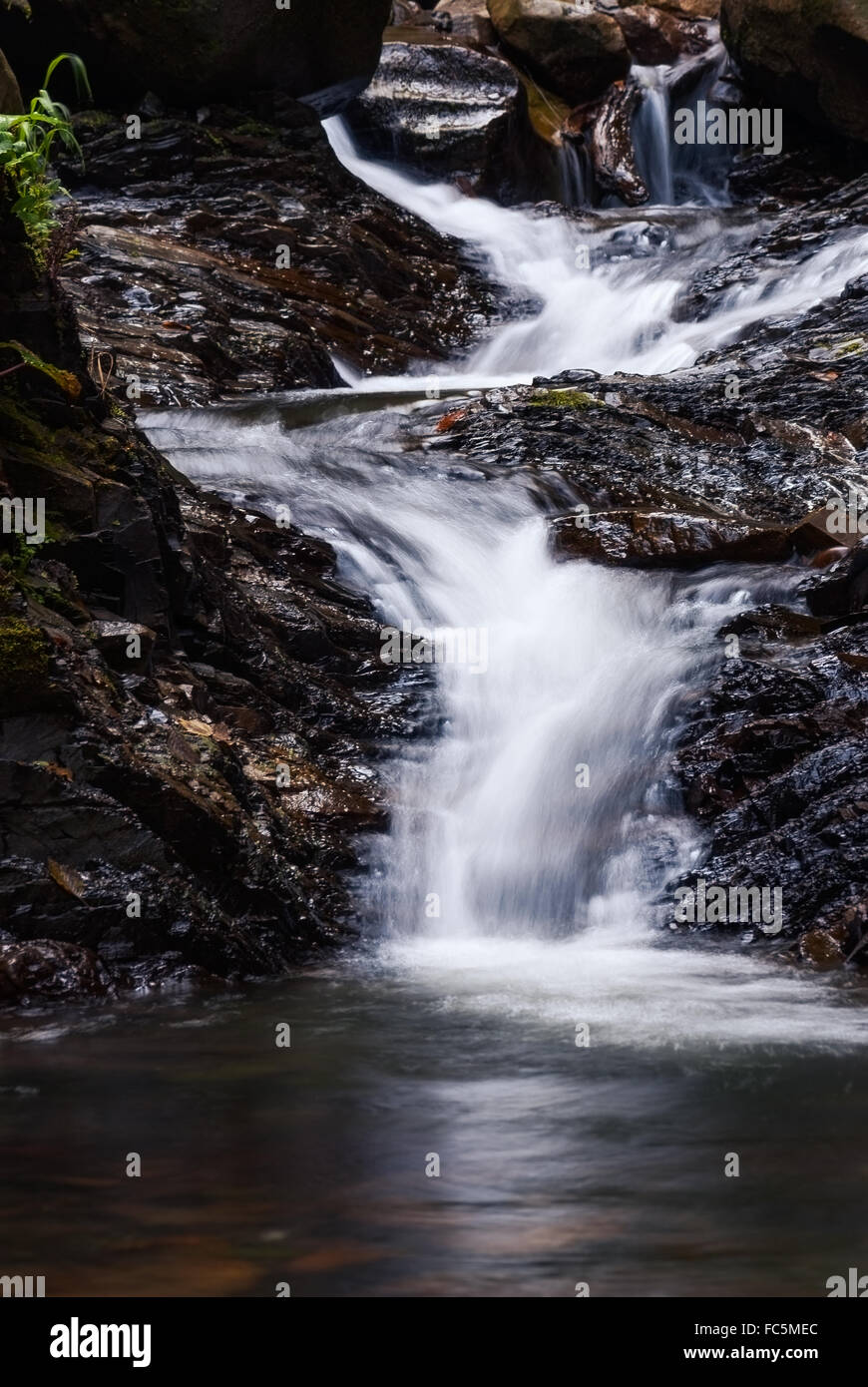 Stream with stones hi-res stock photography and images - Alamy
