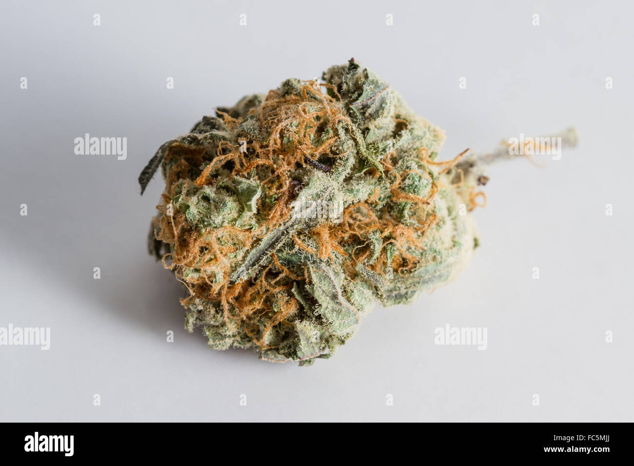 Canabis Indica High Resolution Stock Photography and Images - Alamy