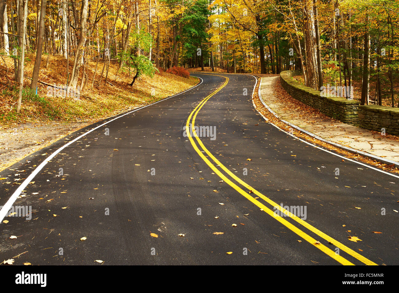 Autumn scene with road in forest Stock Photo - Alamy