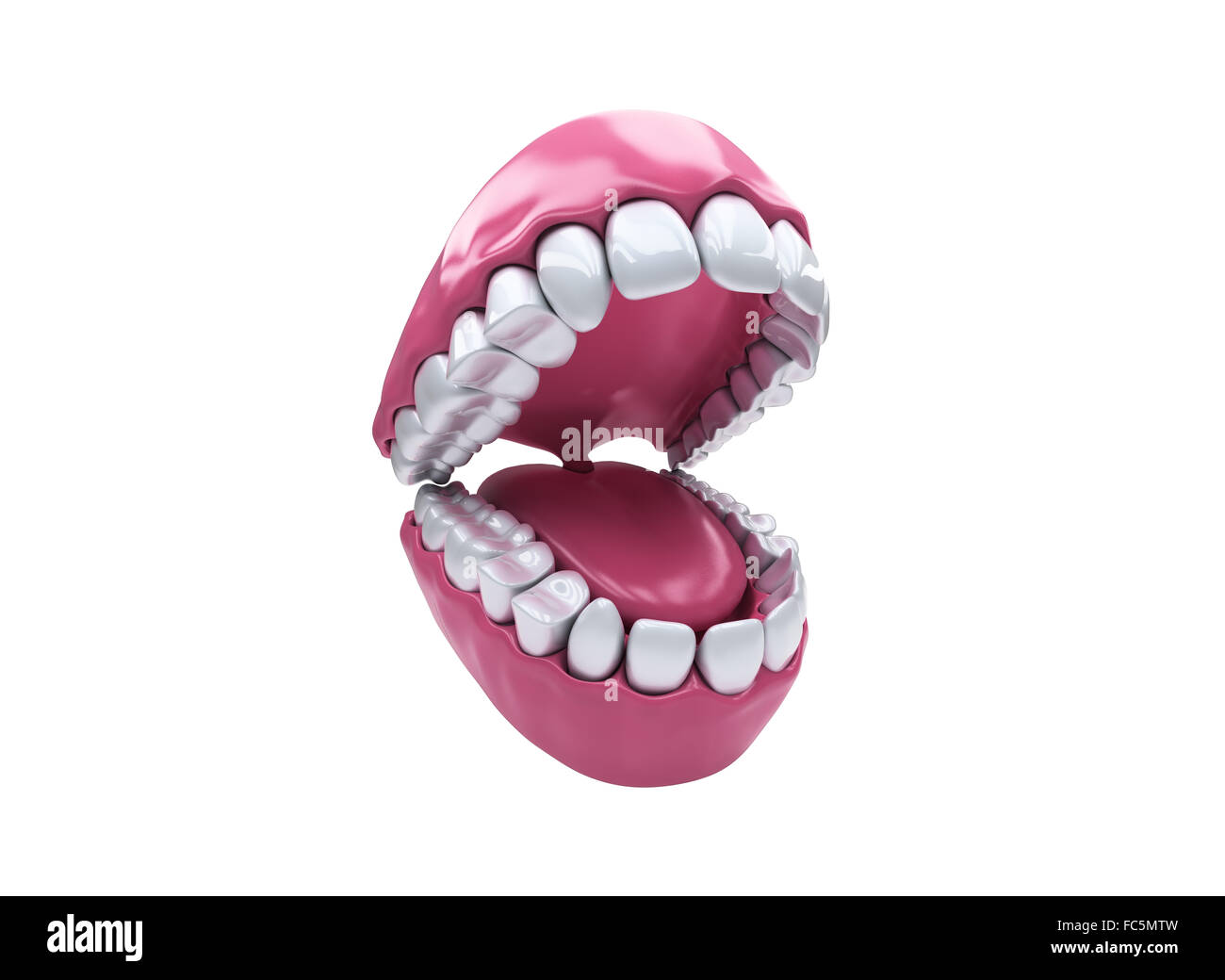 Permanent teeth hi-res stock photography and images - Alamy