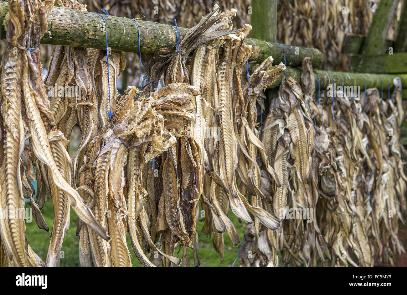Dried fish export hi-res stock photography and images - Alamy