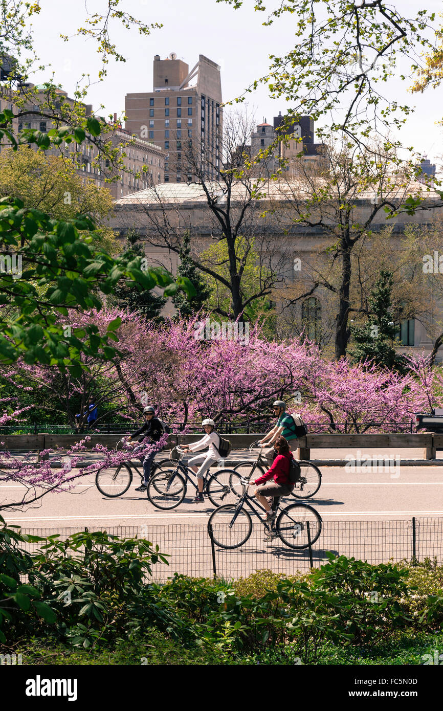 Springtime, Central Park, NYC, USA Stock Photo - Alamy