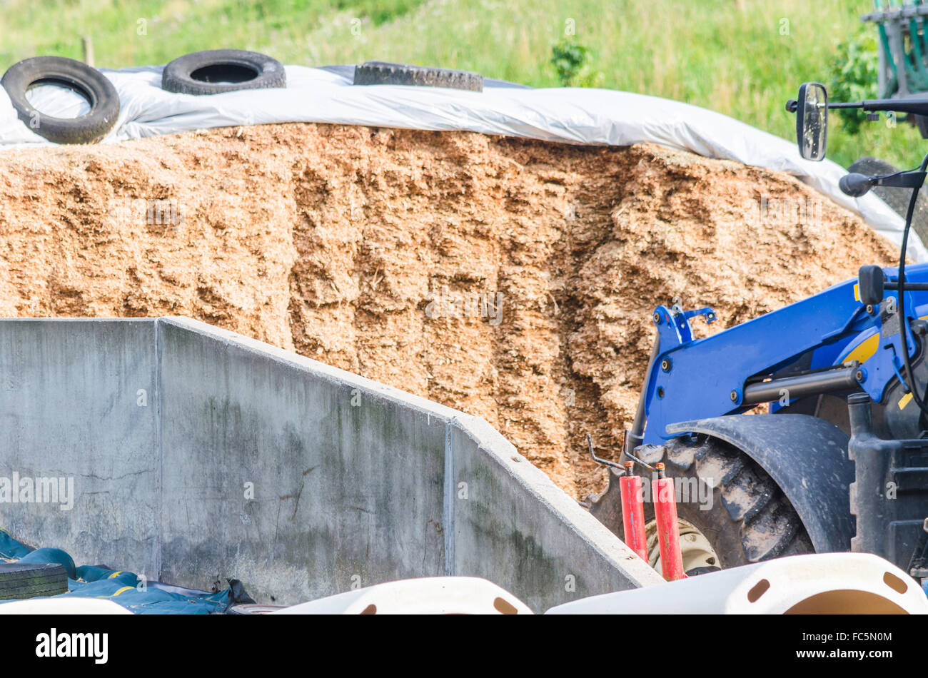 Silage grain hi-res stock photography and images - Alamy