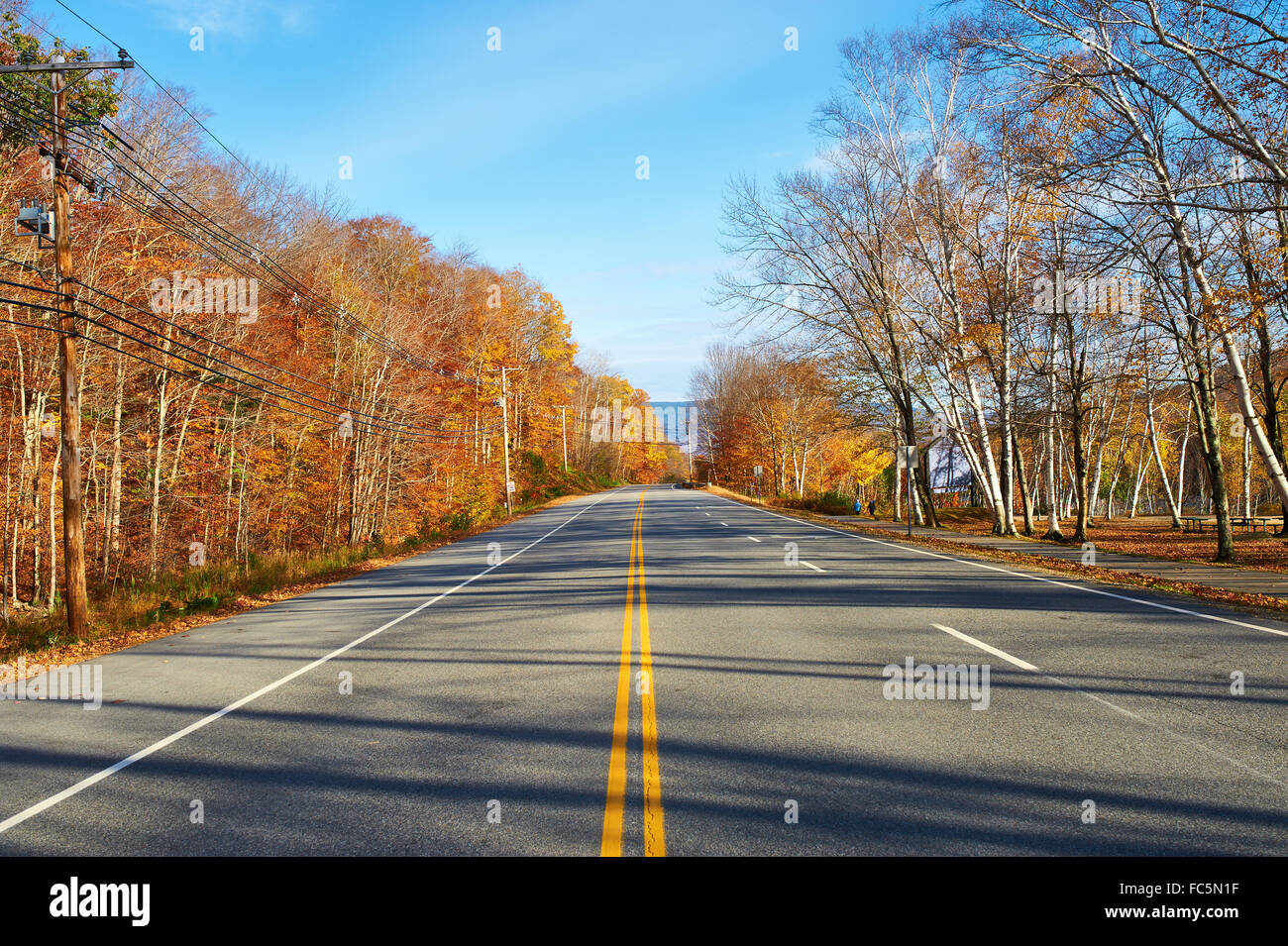 Autumn scene with road Stock Photo - Alamy
