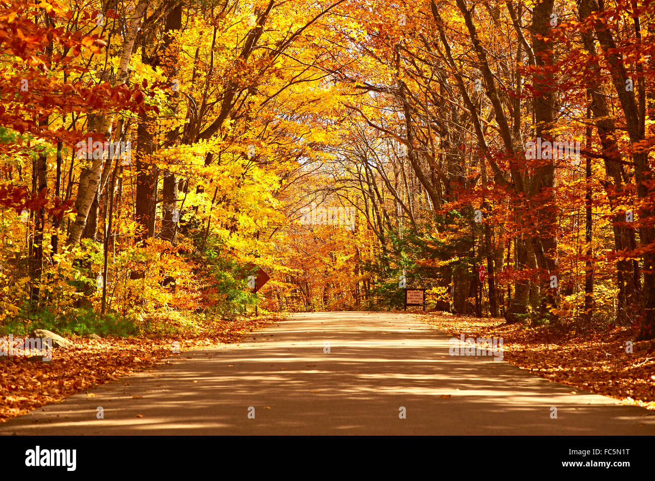 Autumn scene with road Stock Photo - Alamy