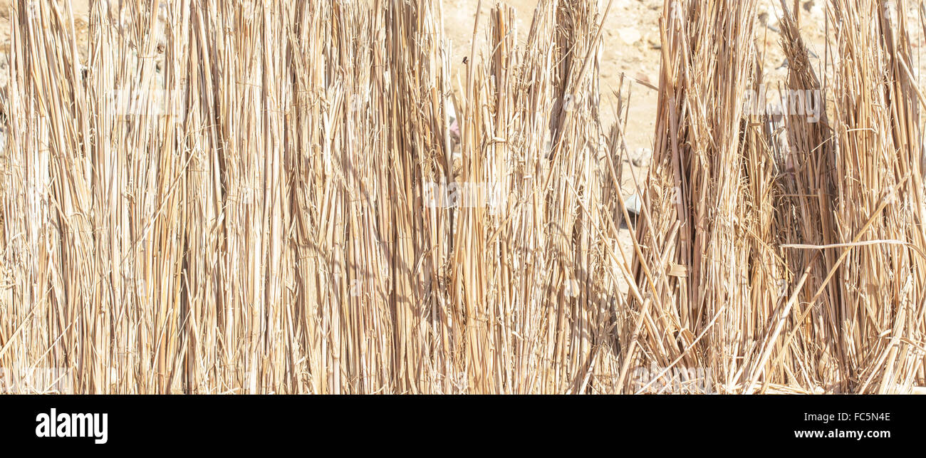 Straw platting hi-res stock photography and images - Alamy
