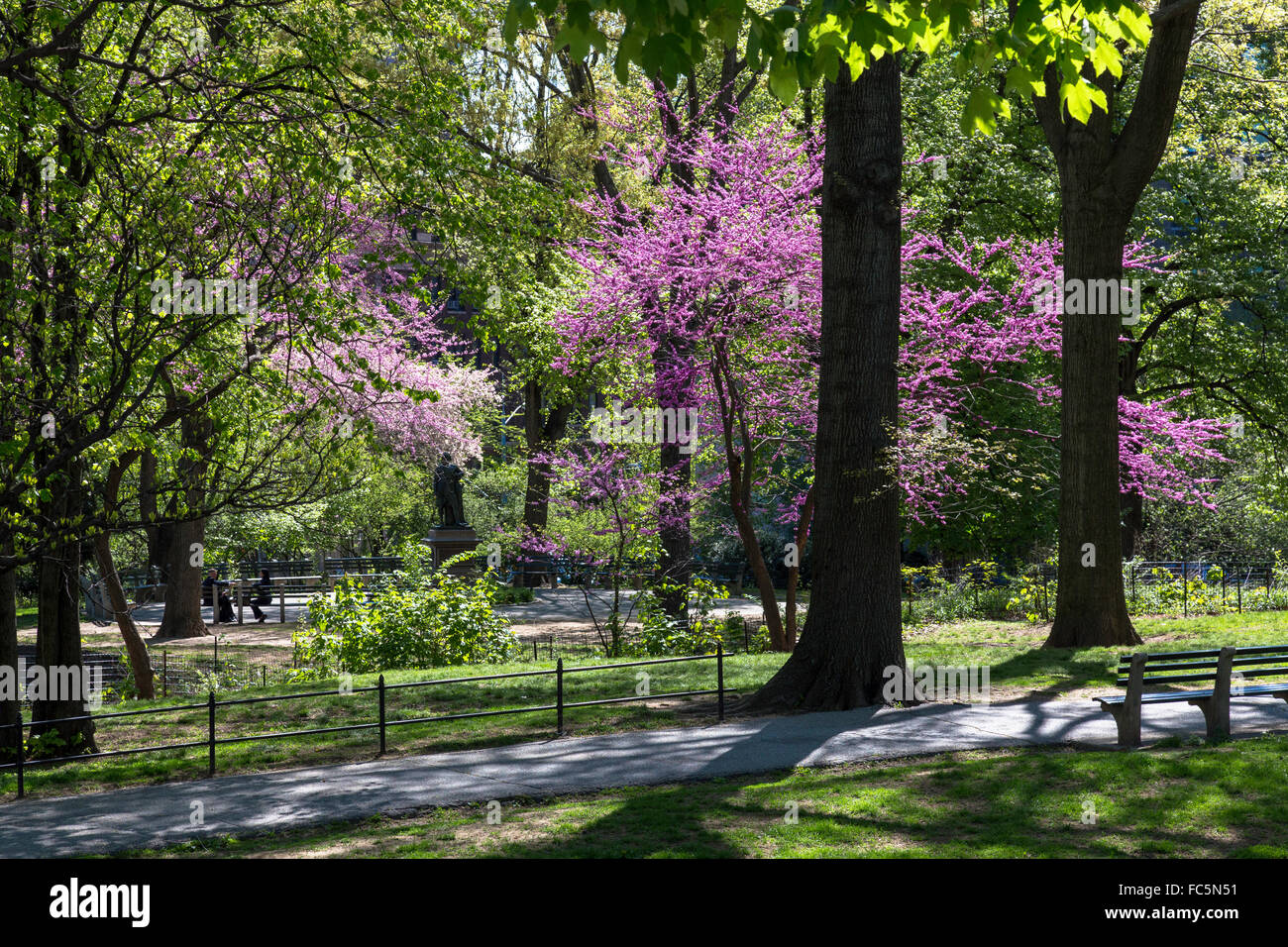 Springtime, Central Park, NYC, USA Stock Photo - Alamy