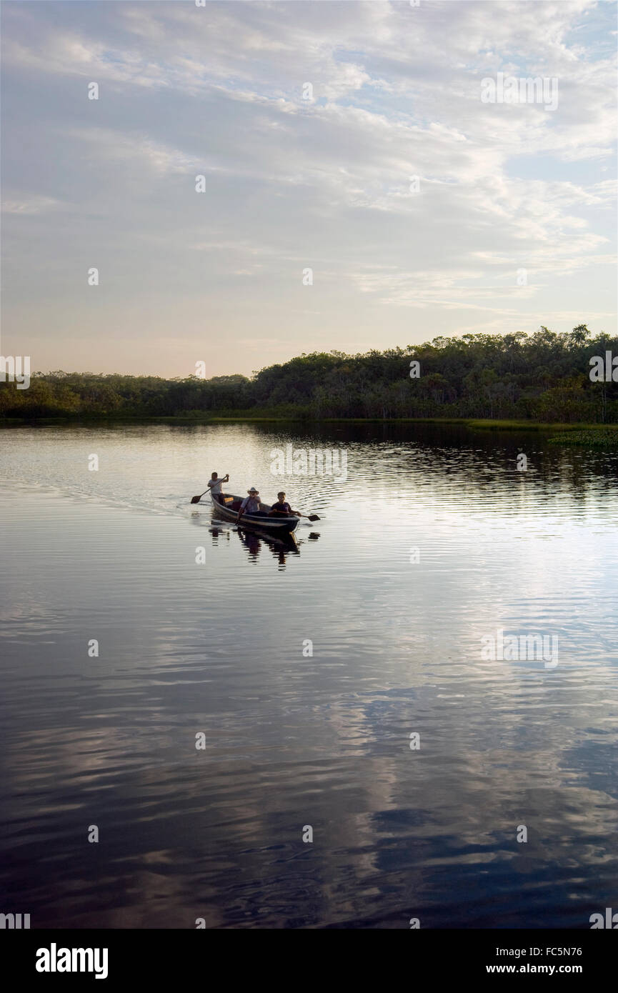 Canoe in the Amazon River in Ecuador Stock Photo - Alamy