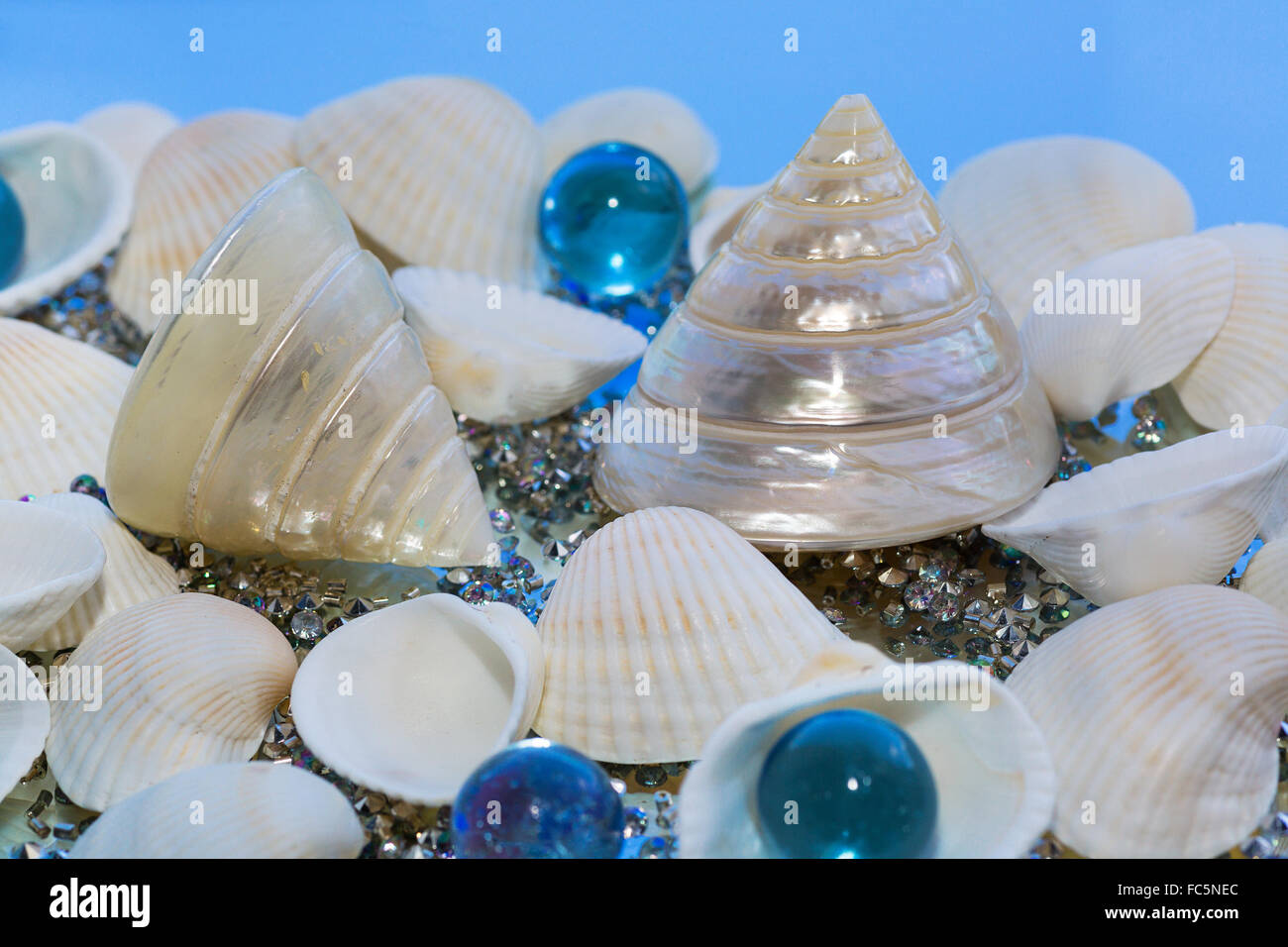 sea shells, decorative glass Stock Photo - Alamy