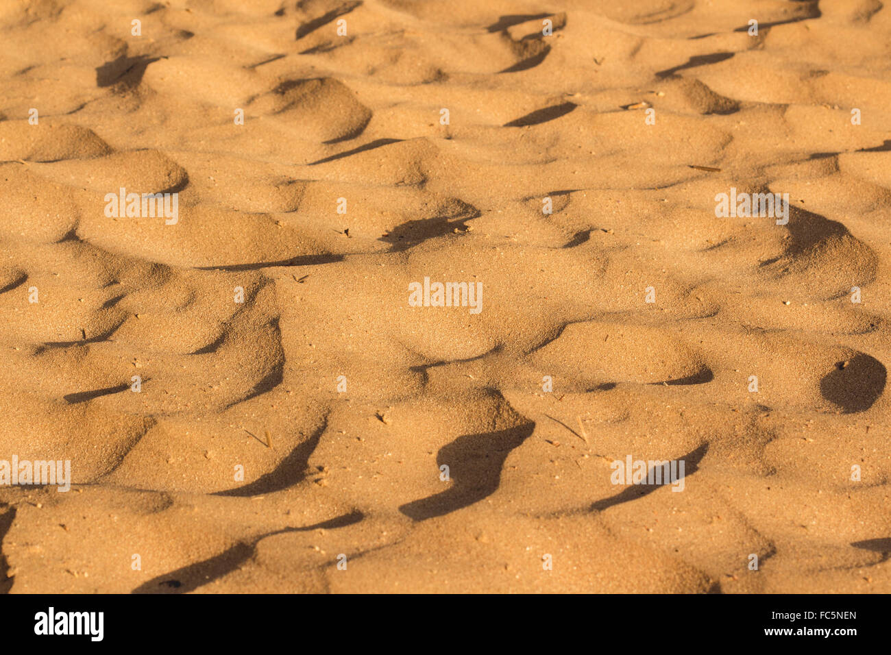 Desert sand texture Stock Photo - Alamy