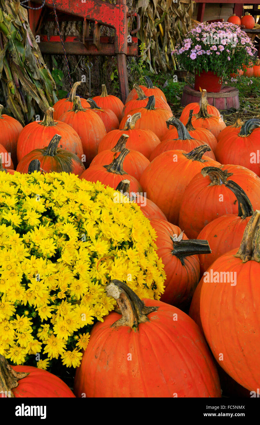 Schoolhouse Farm Roadside Produce Stand, Warren, Maine, USA Stock Photo ...