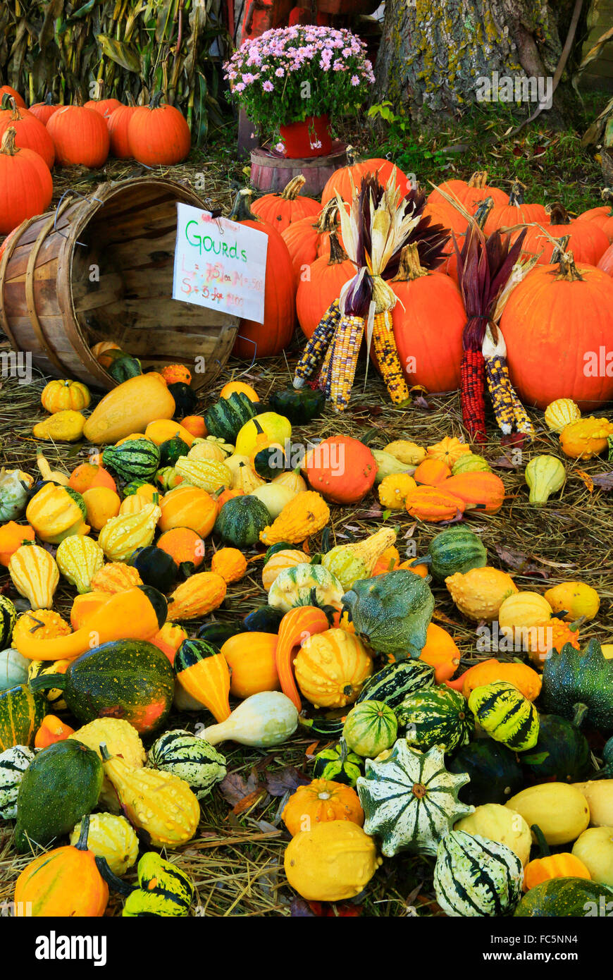 Schoolhouse Farm Roadside Produce Stand, Warren, Maine, USA Stock Photo ...