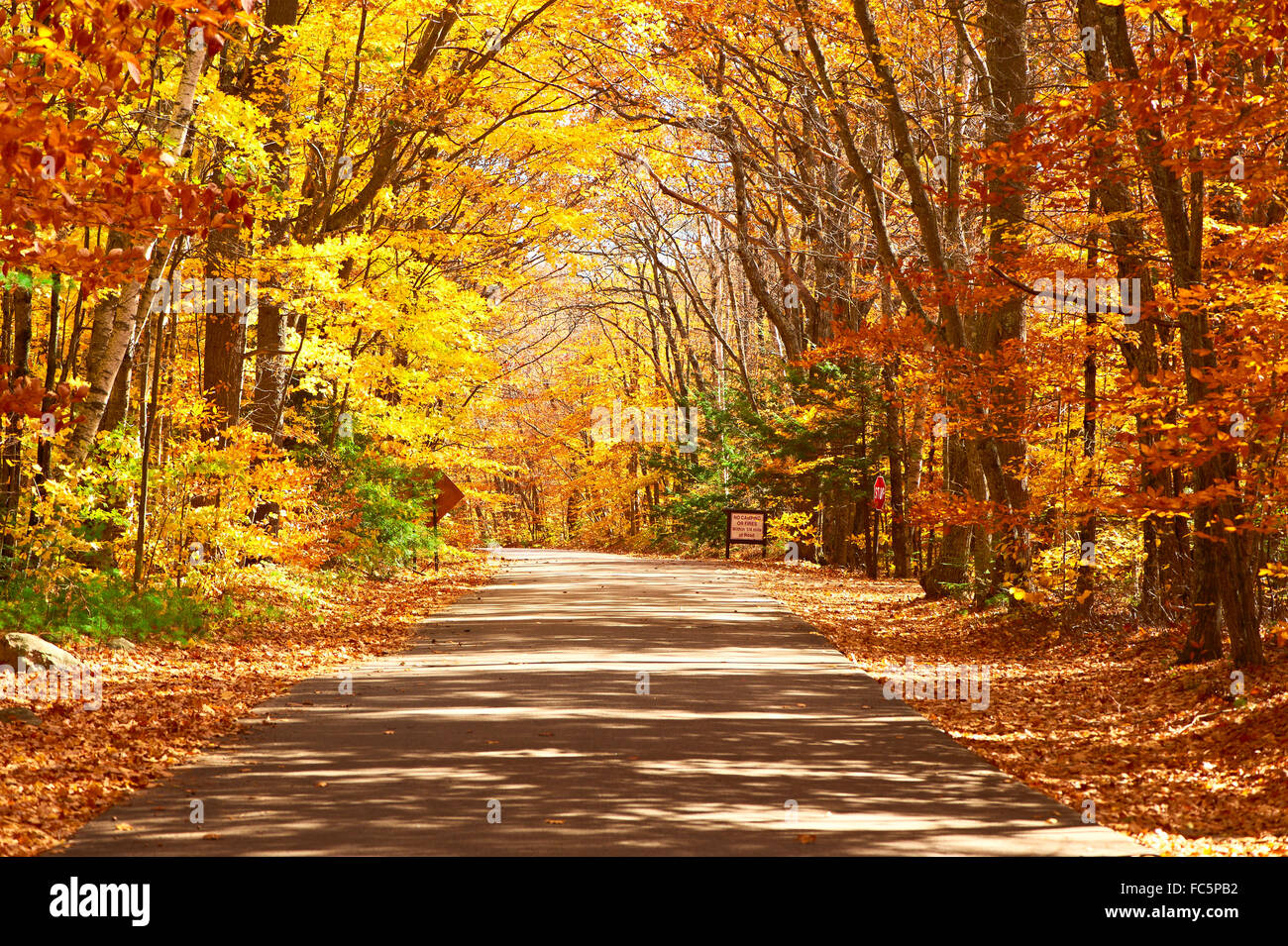 Autumn scene with road Stock Photo - Alamy