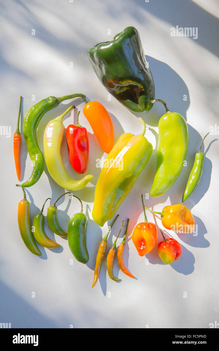 Assorted Sweet and Hot Peppers Stock Photo - Alamy