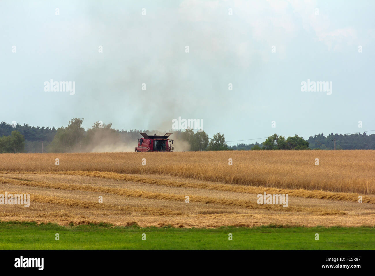 Stauben High Resolution Stock Photography and Images - Alamy
