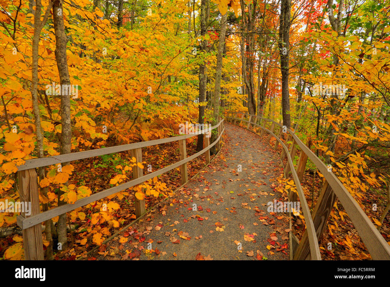 Rachel Carson National Wildlife Refuge, Wells, Maine, USA Stock Photo ...