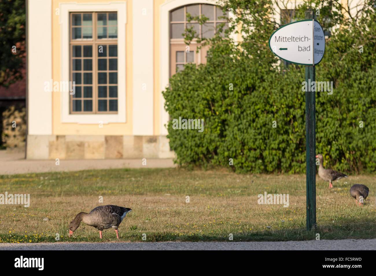 Wanderweg Sign High Resolution Stock Photography and Images - Alamy
