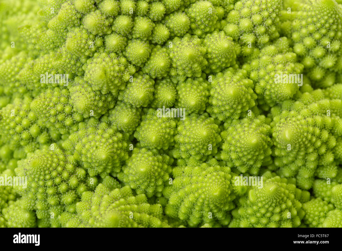 Textured Green Fresh Romanesque Cauliflower Stock Photo - Alamy