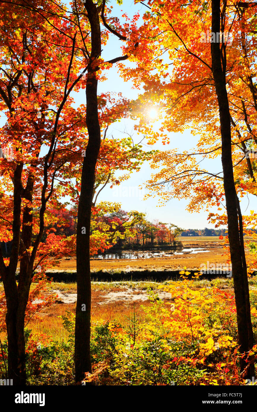 Rachel carson national wildlife refuge hi-res stock photography and ...