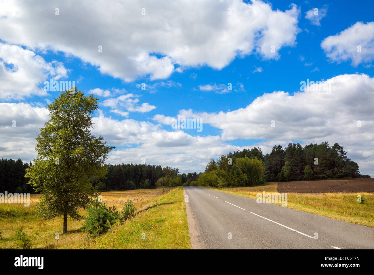 asphalted road. landscape with trees Stock Photo - Alamy