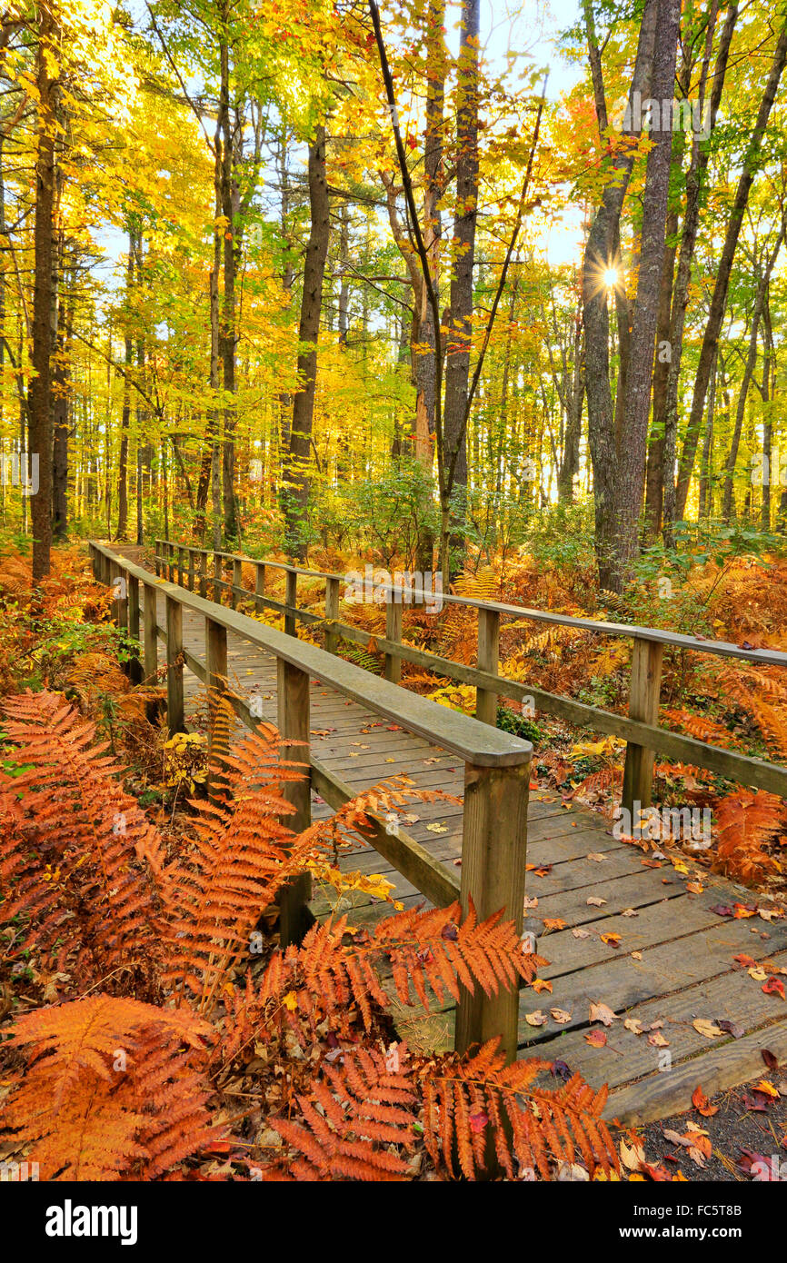 Rachel Carson National Wildlife Refuge, Wells, Maine, USA Stock Photo ...